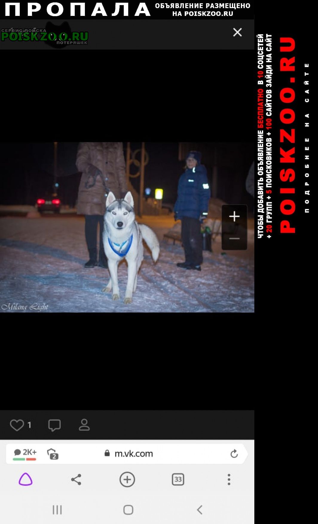 Пропала собака кобель хаски Пенза Контакты по ссылке: https://poiskzoo.ru/161120 Пропал .. в ...