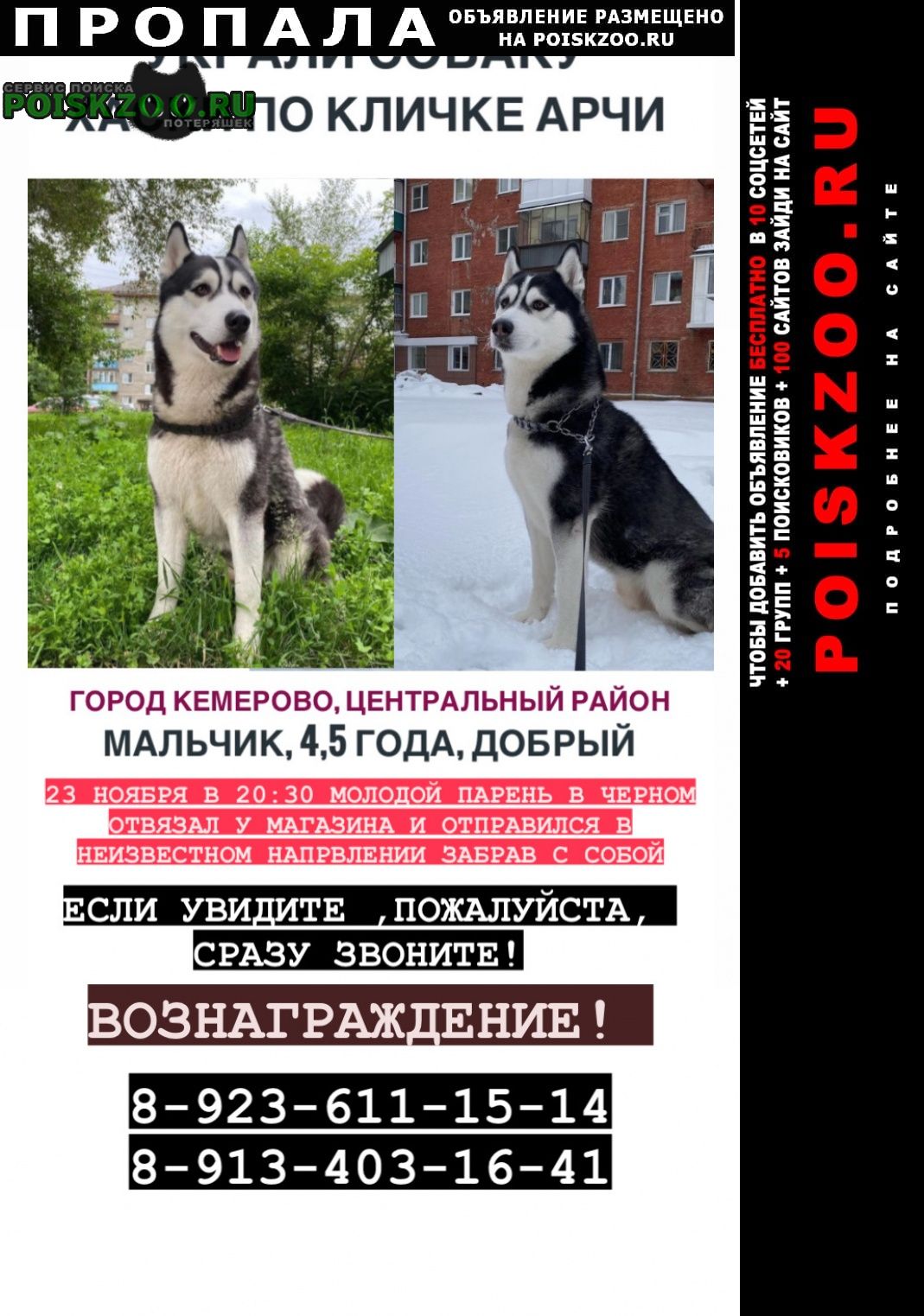 ПРОПАЛА СОБАКА КЕМЕРОВО | "ДОБАВИТЬ ОБЪЯВЛЕНИЕ БЕСПЛАТНО: (в 10 соцсетей + 20 ГРУПП + 5 ...