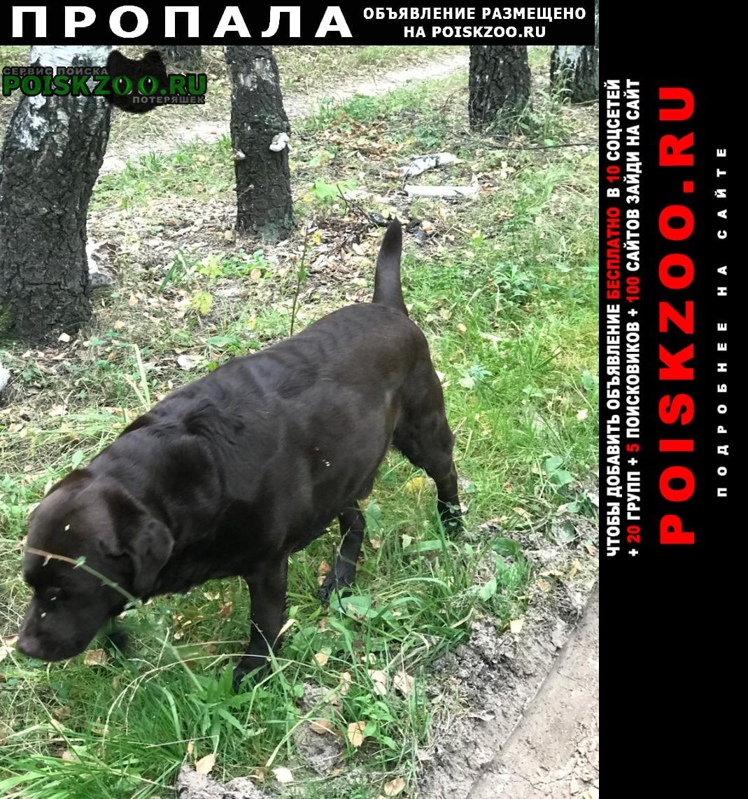 ПРОПАЛА СОБАКА РЯЗАНЬ | "ДОБАВИТЬ ОБЪЯВЛЕНИЕ БЕСПЛАТНО: (в 10 соцсетей + 20 ГРУПП + 5 ...